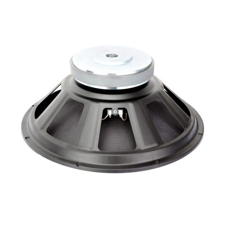 Professional 15inch Powerful Big Magnet Subwoofer